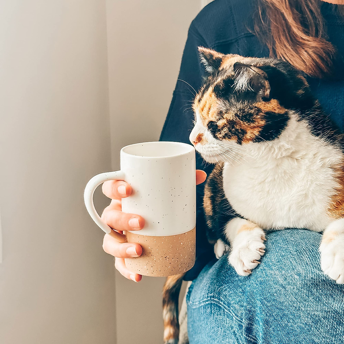 Mora Ceramics 12oz Coffee Mug Set of 4 - Ceramic Tea Cups with Handle - Microwave and Dishwasher Safe, Perfect For Cup or Mug Lovers - Rustic Matte Glaze, Modern Design Mugs - Petro