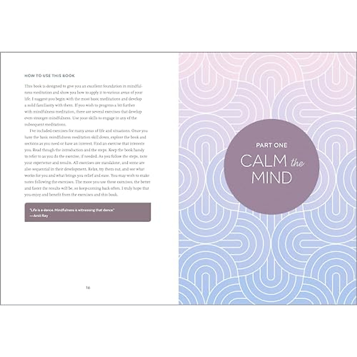 Mindfulness Meditations for Anxiety: 100 Simple Practices to Find Peace Right Now