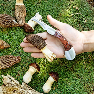 DULEES Mushroom Knife with Brush and Sheath, Sharp Mushroom Foraging knife, Advanced Mushroom Hunting Knife for Morels, Porcini, Chanterelles, Truffle Best Gift for Mushroom Lovers