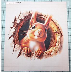Fabric Panel 8"x8" Squirrel 100% Cotton Quilting Panel Square AM1723