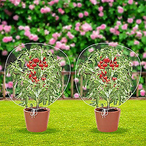 Alpurple 3 PCS Insect Bird Barrier Netting Mesh with Drawstring-2.6 x 2.6 Feet Fruit Tree Net-Garden Netting Plant Cover for Protect Plant Fruits Flower from Insect Bird Eating