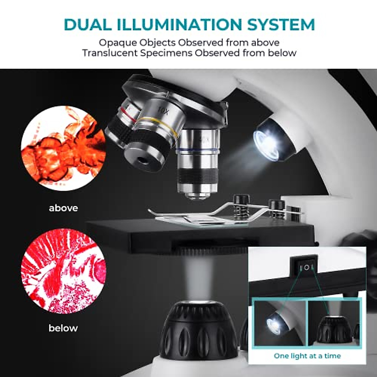 Tuword Microscopes for Kids Students Adults, 40X-1000X Optical Glass Lenses Microscope for School Home, Cordless LED Student Biological Compound Microscope with Microscope Slides, Phone Adaptor