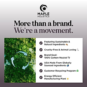 Tea Tree Shampoo for Oily Hair - Paraben and Sulfate Free Clarifying Shampoo for Build Up and Dry Scalp with Tea Tree Oil for Hair - Purifying Aromatherapy Tea Tree Oil Shampoo for Greasy Hair