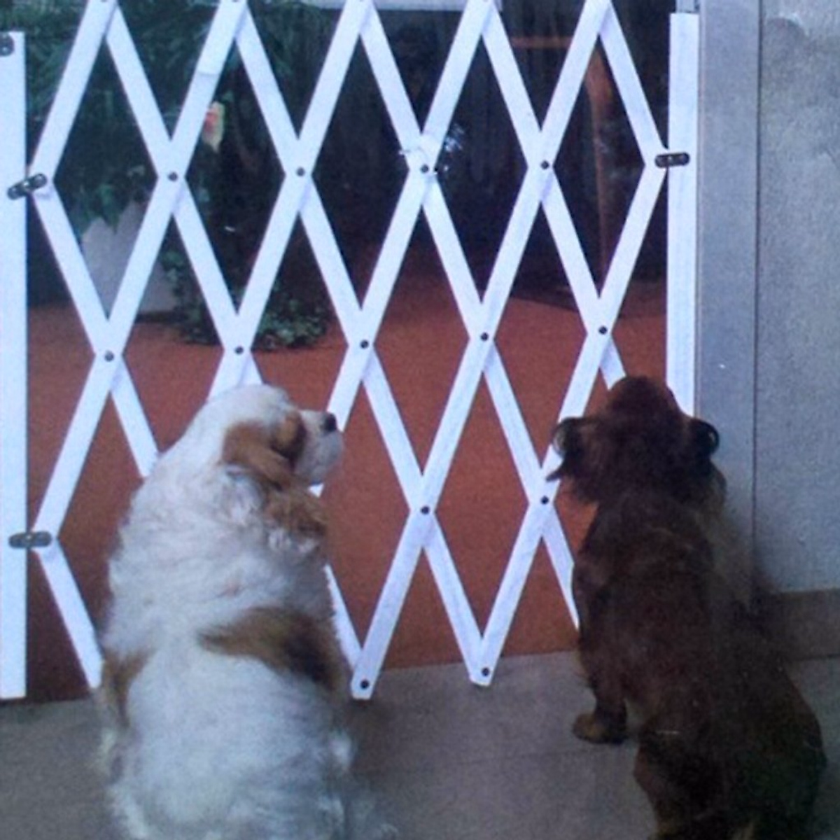 Folding Fence Pet Isolation Gate Expanding Fence Outdoor Indoor, 41x100cm/16.14x39.37inch