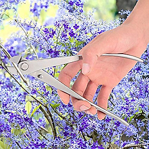 Steel Pruning Shears, 8inch Branch Cutter Shears Gardening Tools Wire Cutters Professional Bonsai Cutter