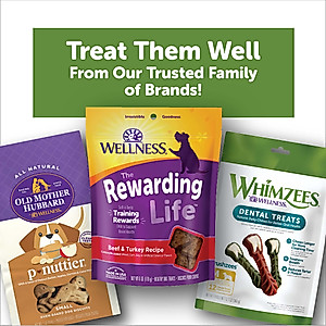 WHIMZEES by Wellness Alligator Natural Dental Chews for Dogs, Long Lasting Treats, Grain-Free, Freshens Breath, Large Breed, 6 count