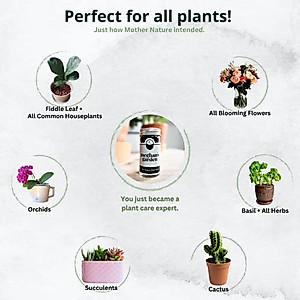 Chemical-Free Organic Indoor Plant Food + Fertilizer | Concentrated Blend, Best for Houseplants Like Succulent, Herb & Fiddle Leaf | Makes 13 Gallons