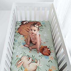 Rookie Humans 100% Cotton Sateen Fitted Crib Sheet: Enchanted Meadow. Modern Nursery, Use as a Photo Background for Your Baby Pictures. Standard Crib Size (52 x 28 inches)