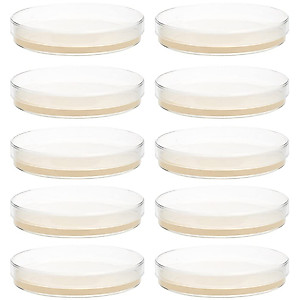 SOLUSTRE 10pcs Nutrient Agar Plate Petri Dish Petri Dish with Lid Agar Plates Culture Plate