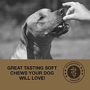 Nutriline Labs Deter-X Dog Poop Eating Deterrent - Chew Treats for Poo Eating Prevention - Yucca, Parsley, Chamomile, Digestive Enzymes, Prebiotics, Probiotics for Dogs - Puppy & Dog Stuff - 60 Bites