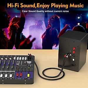 HOSONGIN Dual 1/4 inch TS to Dual 1/4 inch TS Stereo Interconnect Insert Cable, PVC Jacket Gold-Plated Plug Double Shielding Cable, 10 Feet