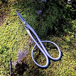 KAKURI Satsuki Bonsai Scissors 7" (180 mm) Professional Bonsai Tool, Japanese Stainless Steel, Silver, Made in JAPAN