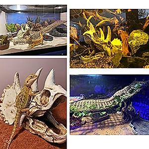 Tfwadmx Bearded Dragon Tank Accessories Resin Dinosaur Triceratops Skull Lizard Hammock Reptiles Habitat Hideout Cave for Lizard Chameleon Snake Spider Frog Gecko