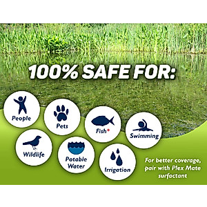 Tsunami DQ Aquatic Herbicide - Gallon - 37.3 Percent Diquat Dibromide - Concentrated Aquatic Weed Killer for Lakes and Ponds - Duckweed, Watermeal, Curly Leaf, Pondweed & Many More