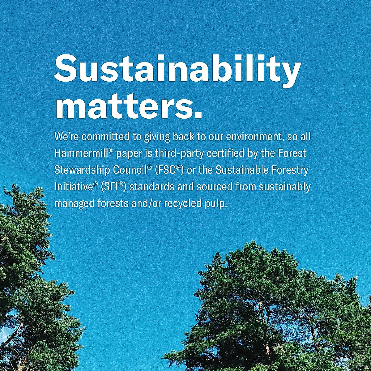 Hammermill Printer Paper, Fore Multipurpose 20 lb Copy Paper, 8.5 x 11 - 1 Ream (500 Sheets) - 96 Bright, Made in the USA, 103267