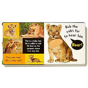 Noisy Baby Animals: Includes Six Sounds! (My First)