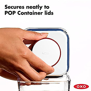 OXO Good Grips POP Container Brown Sugar Keeper