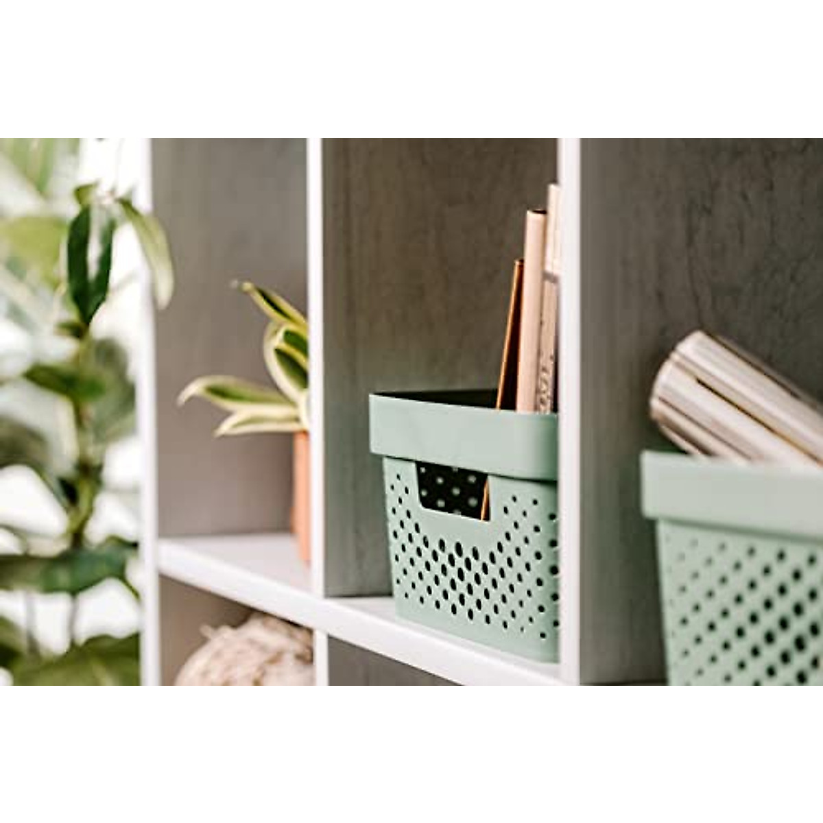 Curver Infinity Dots x4 Small Rectangular Storage Basket 4.5L - Green