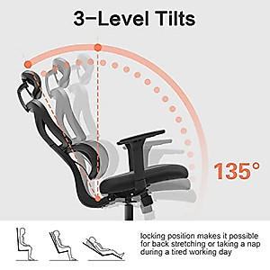 FelixKing Ergonomic Office Chair, Home Office Rolling Swivel Chair Mesh High Back Computer Chair with 3D Adjustable Armrest & Lumbar Support, Blade Wheels Desk Chair with Headrest (Black)