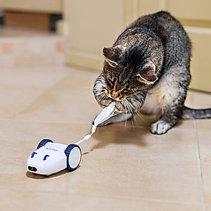 Kittio Robo Mouse - Interactive Mouse Chase Cat Toy - USB Charging - Smart Steering Sensors & Motion Activated