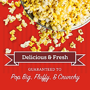 Franklin’s Gourmet Popcorn All-In-One Popcorn Packs for Popcorn Machine - 8oz Pack of 10 - Made in USA - Packs of Popcorn Bags with Buttery Salt & Oil