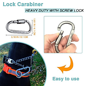 Mayerzon Backup Collar, Double Ended Clip and Carabiner for Prong Collar, Pinch Collar and Dog Harness, Safety Use for Walking and Training (L, Black)