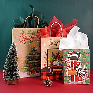 RYMILIE 20 Kraft Christmas Gift Paper Bags Bulk with handles and 20 Count Christmas Gift Tags set for Wrapping Xmas Holiday Presents(8 Small,8 Medium,4 Large)