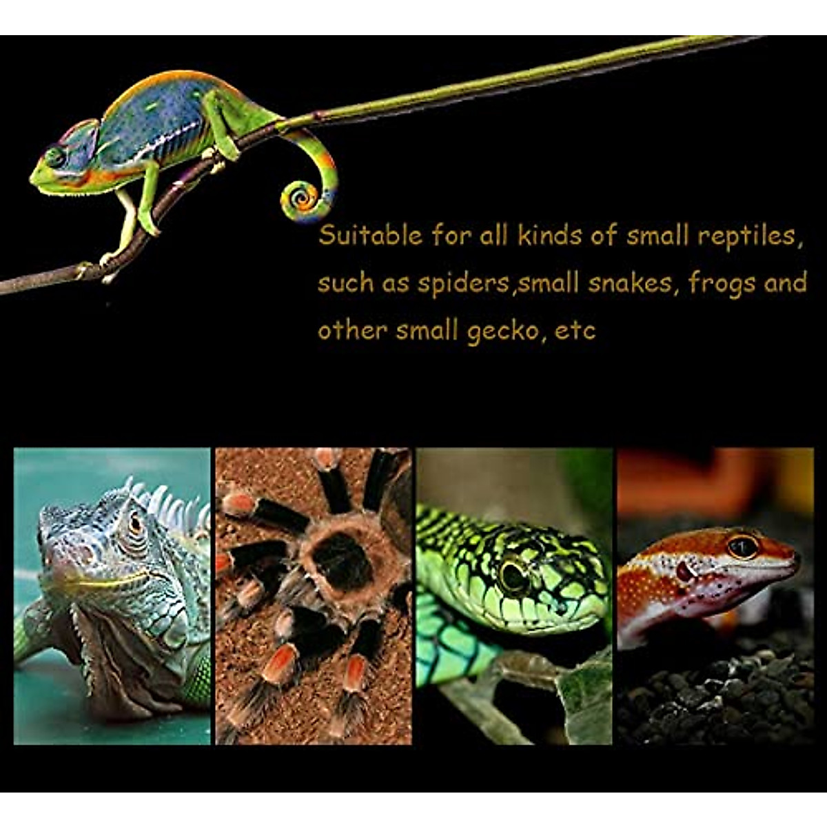 kathson 2PCS Reptile Feeding Box Portable Small Snake Terrarium Habitat Mini Pet Breeding Cage Hatching Container Transparent Gecko Houses for Small Frog Tarantula Spider Scorpion (White)