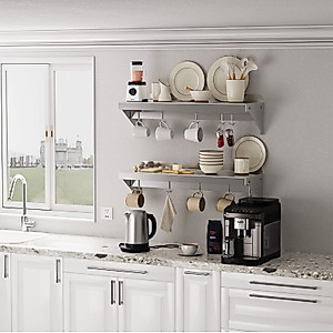 RIEDHOFF Metal Multifunctional Storage Rack with Backplash for Kitchen, [NSF Certified] 12" x 24" Stainless Steel Wall Mount Shelf with 5 Hooks for Hanging Pots, Pans,cookware in Home and Restaurant