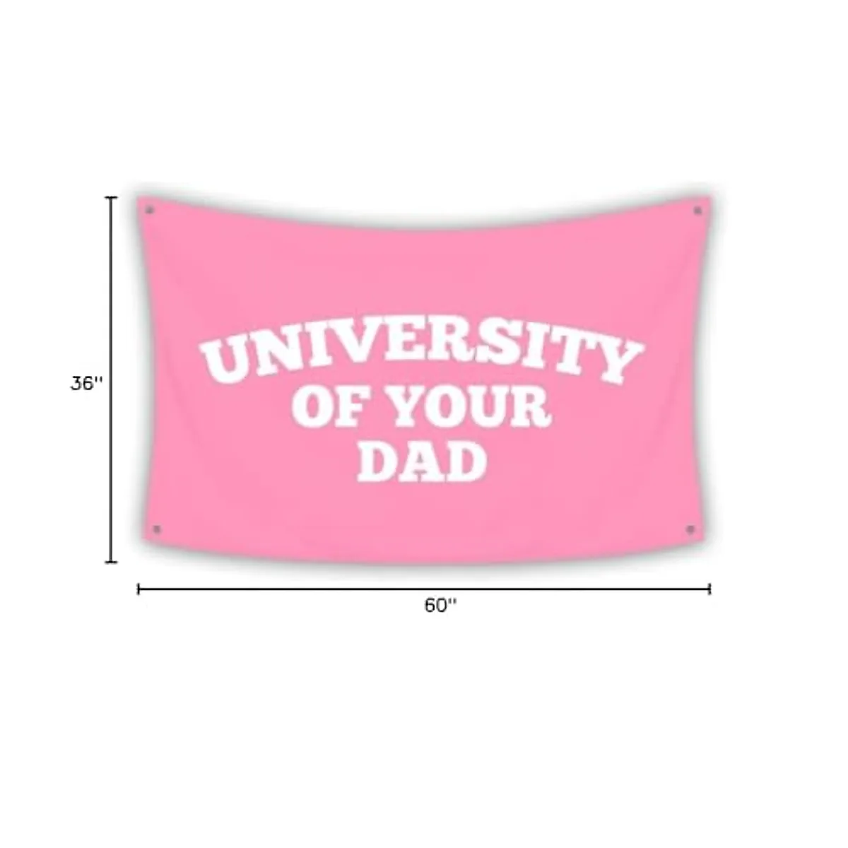 BOER University of Your Dad Pink College/Dorm Room Flag 3x5 Feet Banner,Funny Man Cave Wall Flag with Brass Grommets for College Dorm Room