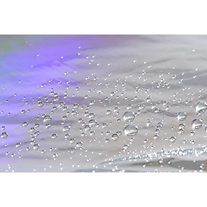 GOQAGA 8 Pack Rainbow Plastic Tablecloth Colorful Rectangle Birthday Party Woman Bride Wedding Birthday Table Cloth Christmas Decorations Disposable Laser 54" x108"