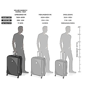 DELSEY Paris Adults-Unisex's, Blue, L (76 cm-102 L + 10 L)