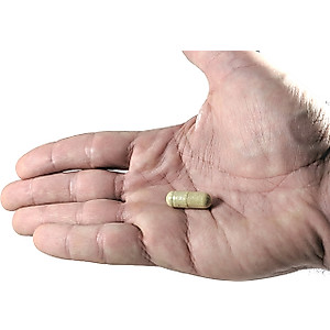 Super Wellness Immune Booster - Quercetin Immunity Support, 25 Vitamins, Herbs, Superfoods, Mushrooms - Vitamins C & E - Selenium - Turmeric - Immune Defense Supplement - 60 Capsules