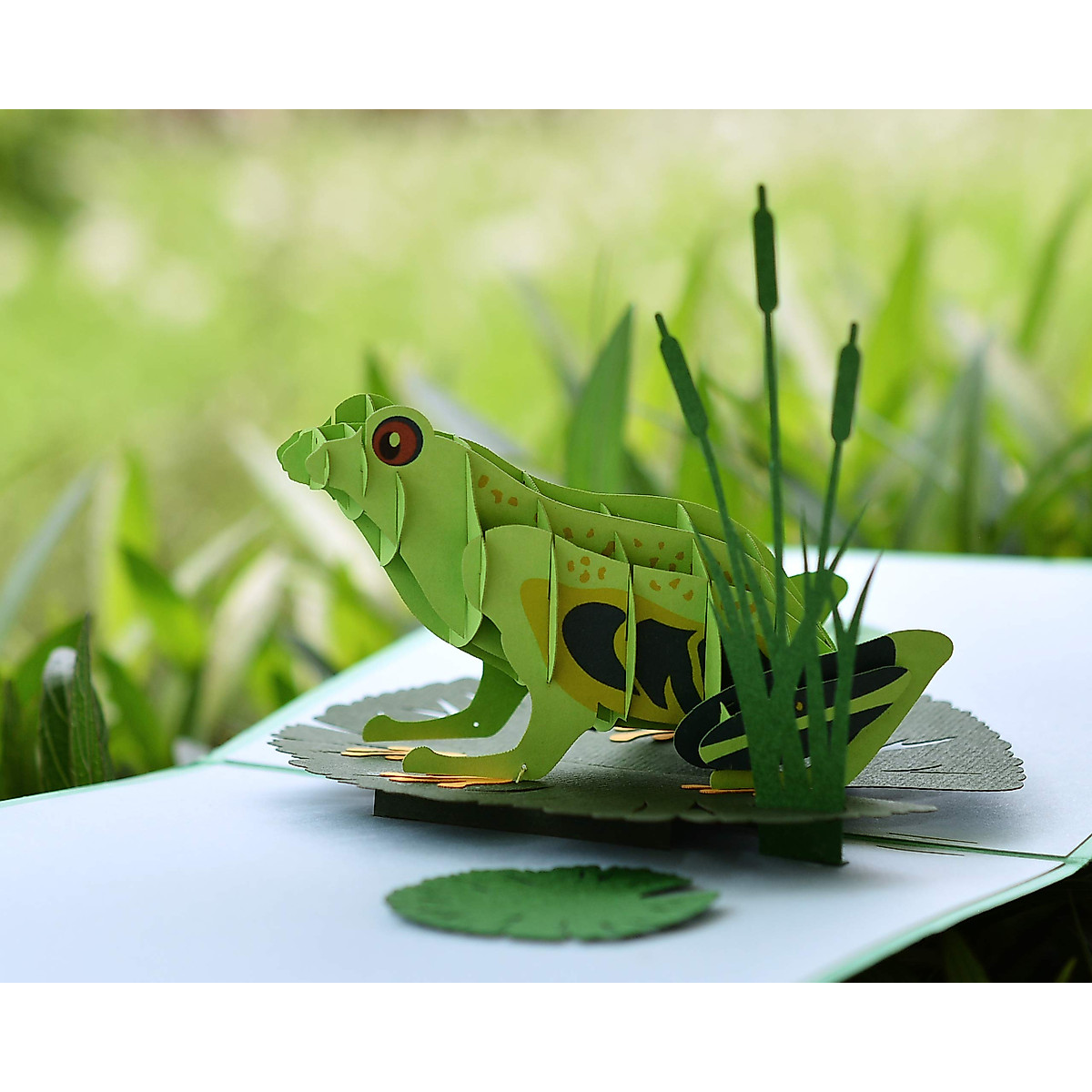 CUTPOPUP Birthday Card Pop Up, 3D Greeting Card (Frog)