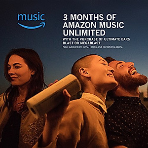 Ultimate Ears MEGABLAST Portable Waterproof Wi-Fi and Bluetooth Speaker with Hands-Free Voice Control - Graphite