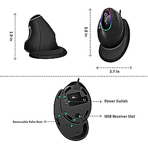 eirix Wired Ergonomic Vertical Mouse: RGB Backlit Ergo Mice with 3200 Adjustable DPI, Removable Palm Rest, Compatible with Windows and MAC OS