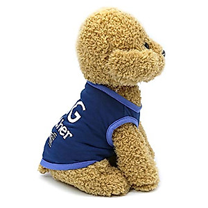 Puppy Warm Coat Clothes Letter Dog Painting Coat Shirt Cat Puppy Pet Clothes Dog Vest Small Breed Dog Sweaters for Small Dogs