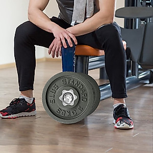 Multiple Olympic Weight Plates, Barbell Weights Bumper Plates 2 Inch Grip Single Pair & Set Rubber Cast Iron Weight Plates for Weightlifting Home Gym (Cast Iron D 2pc 5LB)