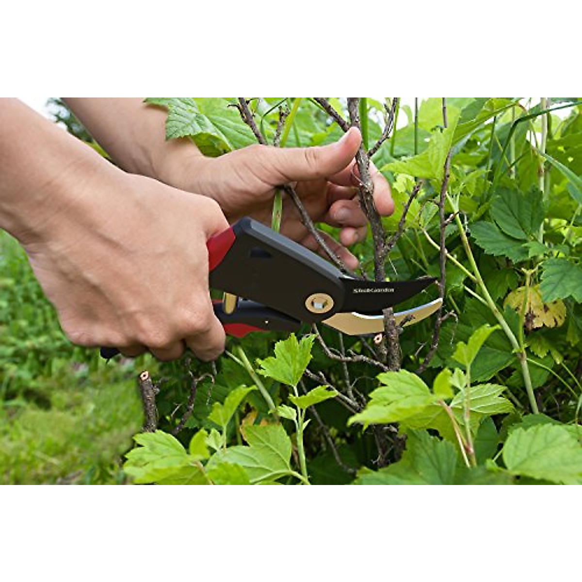 Sleek Garden Hand Pruner Professional Sharp Bypass EZ-Cut Garden Pruning Shears -Comfort Plus Handheld Gardening Tools Pruner,Rust Proof Blades Clippers/Scissors /- Shock Absorber + Cushion