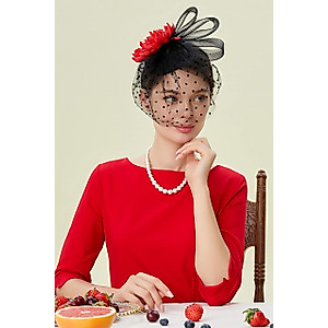 BABEYOND Fascinator Hat Veil Feather Fascinators Hair Clip Tea Party Pillbox Derby Hat Fascinator Bridal Wedding Veil