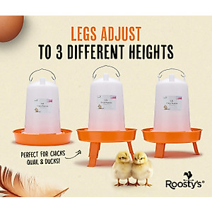 Roosty's Chick Feeder and Waterer Kit - 1L Chick Feeder and 1.5L Chick Waterer | Chicken Feeder and Hanging Chicken Waterer | Duck Feeder, Quail Feeder, Chicken Starter Kit | Baby Chicken Supplies