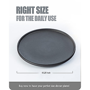 Lareina Dinner Plates, Scratch-resistant, 10.25 Inch Flat Ceramic Plate Set of 4, Porcelain Plates with Lipped Edge for Salad Steak in Kitchen Restaurant, Natural Primitive Texture (Cast Iron Black)
