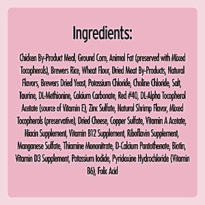 TEMPTATIONS Classic Crunchy and Soft Cat Treats Shrimpy Shrimp Flavor, 16 oz. Tub