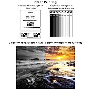 Walfront 4Pcs Ink Cartridge Printer Ink Cartridge Inkjet Cartridge Accessory for MAXIFY IB4050 Ib4150 MB5050 MB5150