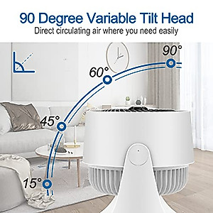 Tredy Air Circulator Fan,Small Quiet TurboForce Desk Fans with Base-Mounted Controls,3 Speed Cooling Fan,Floor Fan for Whole Room Home Bedroom Office-8 Inches