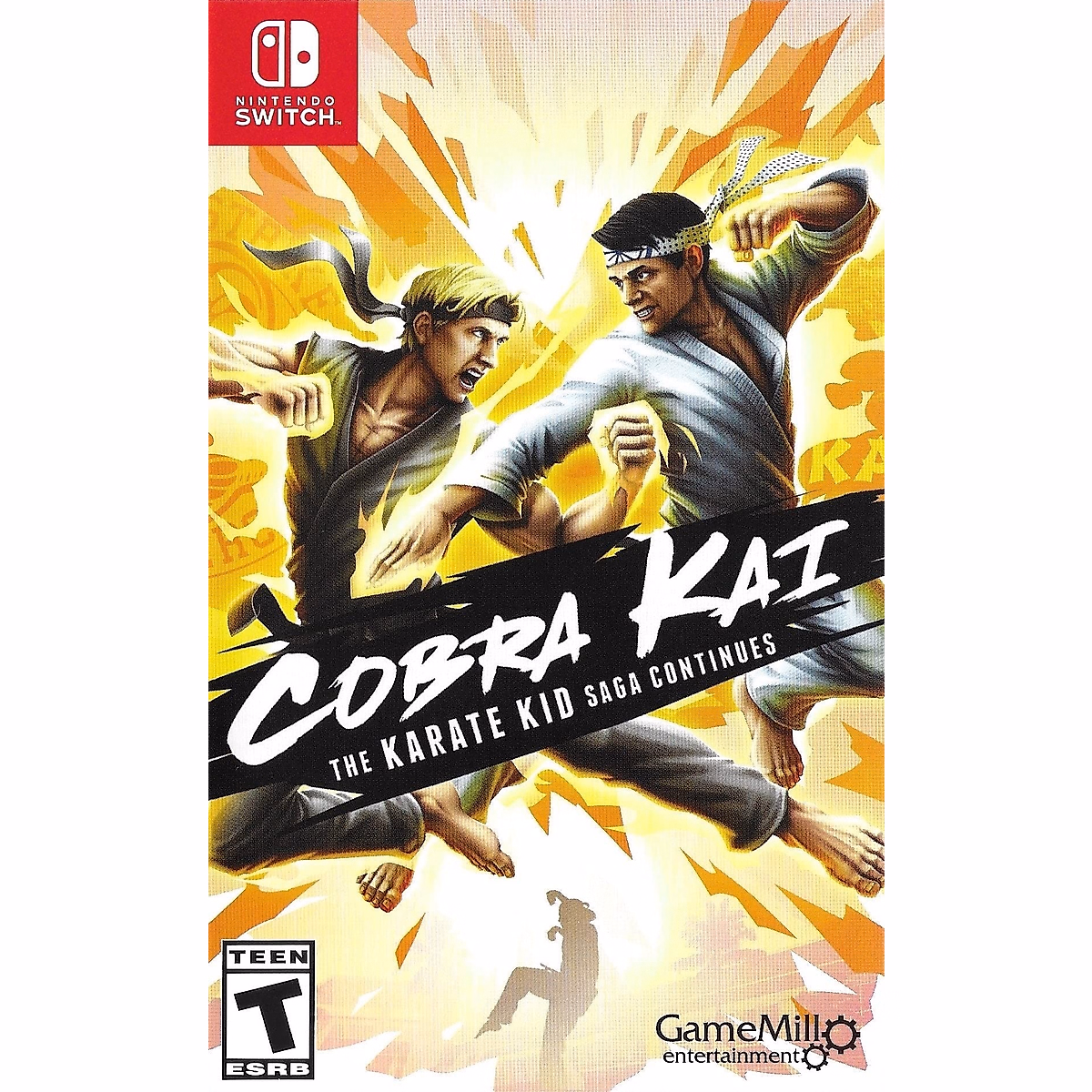 Cobra Kai: The Karate Kid Saga Continues - Nintendo Switch