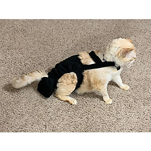 Diapurr cat Diaper, Black