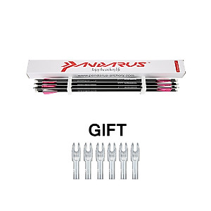 PANDARUS Archery Carbon Arrows 28-Inch Safety Beginner's Target Practice for Compound & Recuve Bow - (Pack of 12) Pink
