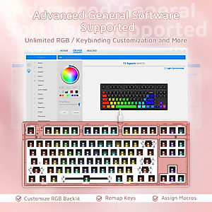 FL ESPORTS MK870 CMMK 87 Keys RGB Modular Mechanical Keyboard, 80% TKL Wired Gaming Keyboard DIY Kit w/Hot-Swap Switch Sockets (5-pin) & Customizable Software Supported (Barebones, Frosted Pink)