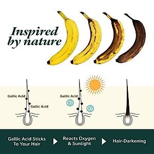 CARICARE Naturally Gray Reduce Shampoo, Darkening Gray Hair, Keratin Treatment, Damage Repair, Volume Boost, Scalp Relief, Hypoallergenic, Made in Korea, 13.5 Fl Oz- Pack of 1